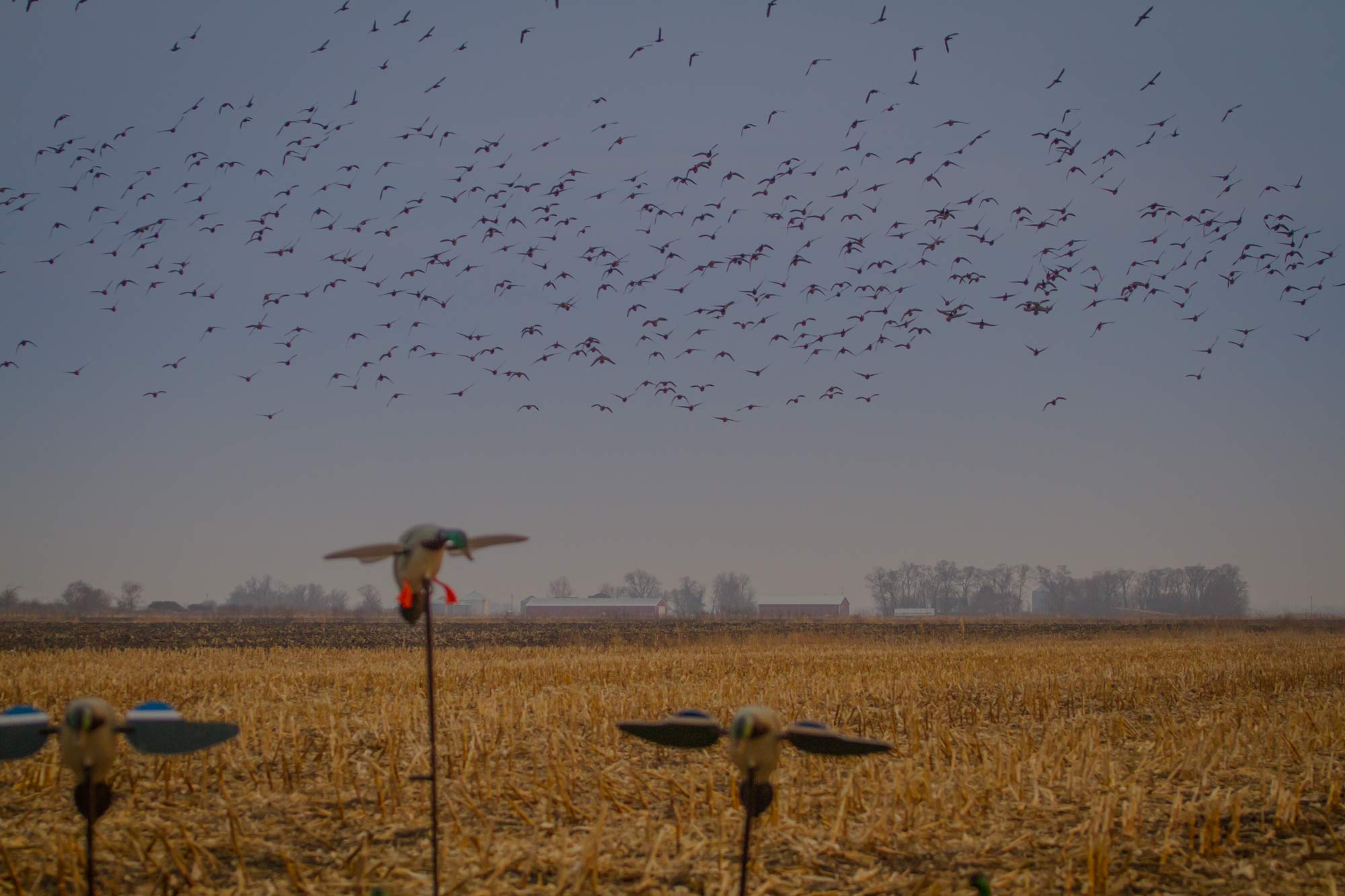 This Life Ain’t For Everybody with Chad Belding – Podcast Show